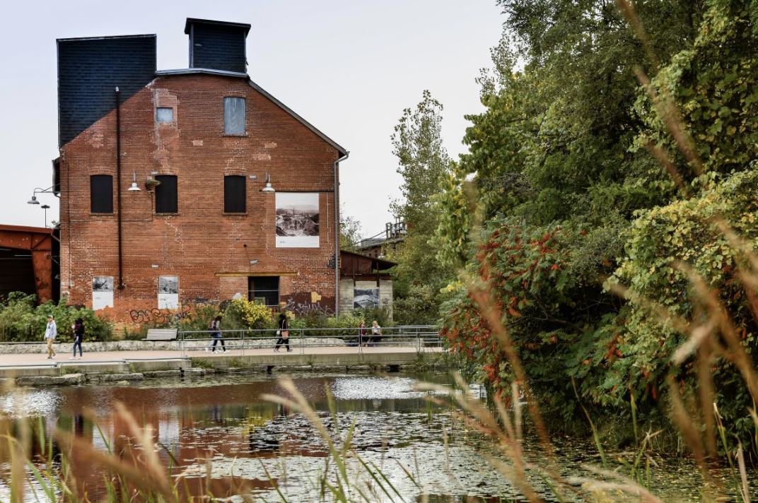 Sustainable Living In The GTA: Eco-Friendly Homes and Communities